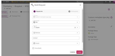 Deploying Salesforce Custom Metadata Using Flexdeploy Flexagon