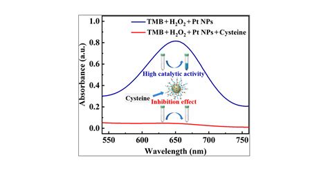 Ultrasmall Pt Nanozymes Immobilized On Spherical Polyelectrolyte