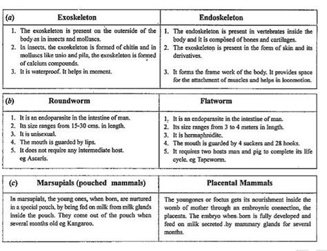 Endoskeleton Vs Exoskeleton