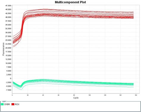 Unusual Qpcr Amplification Curve Researchgate