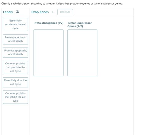 solved classify each description according to whether it