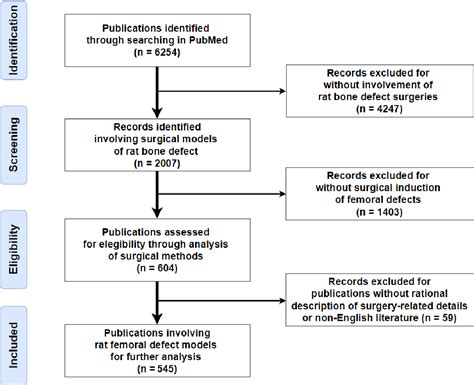 Figure 1 From Surgical Classification For Preclinical Rat Femoral Bone Defect Model