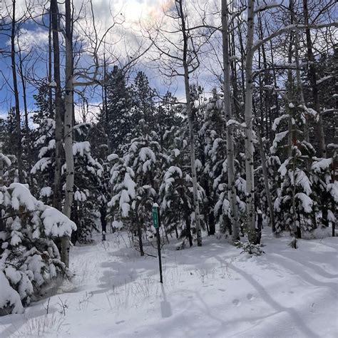 Morgan Adele Youtube