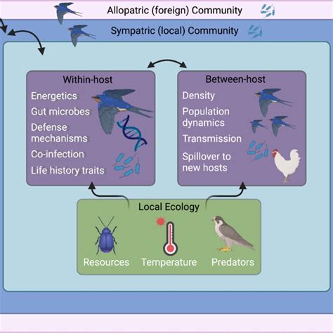 Overview Of The Multiple Players And Interacting Components That Can