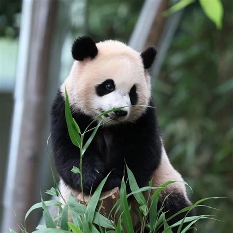 Cheryl Kkk Cheryl Threads Say More