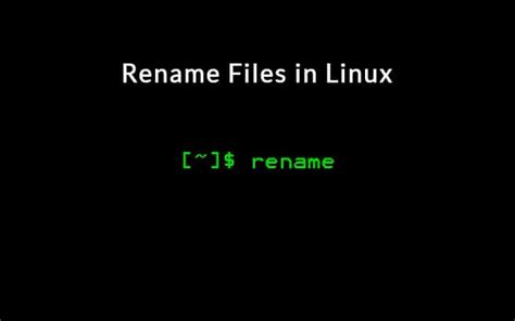 Rename Files In Linux Mv Rename And Multiple Files At Once