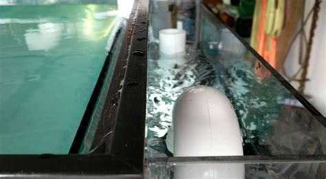 Which External Overflow Box To Use Reef2reef