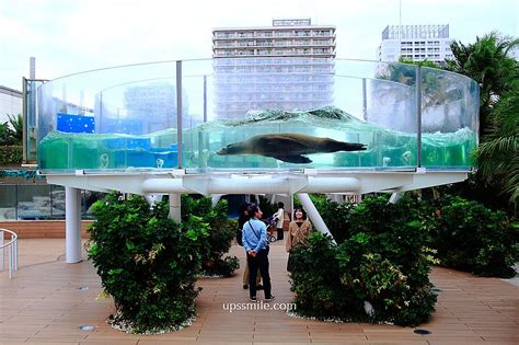 日本｜池袋陽光水族館：高空悠游的企鵝，地表最高的水族館！ 輕旅行