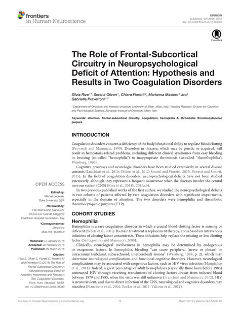 Pdf The Role Of Frontal Subcortical Circuitry In Neuropsychological Deficit Of Attention