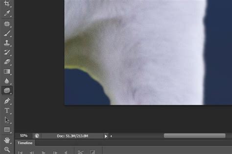 Tip Of The Week Isolating Your Subject Matter And Adding A New Background Dreamstime