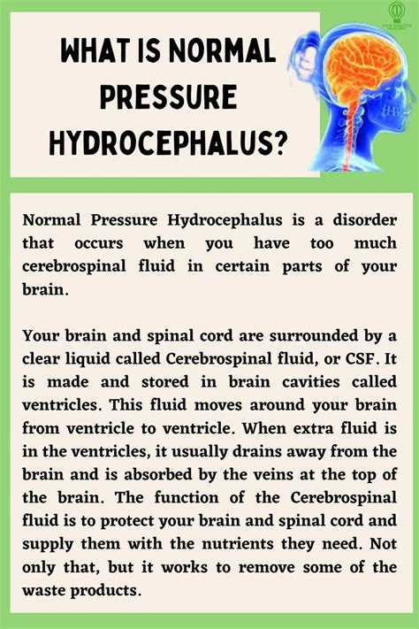 Normal Pressure Hydrocephalus Symptoms Causes Treatment Artofit