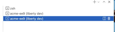 Svt Reinstalling The Liberty Tools Starts A New Terminal · Issue 205
