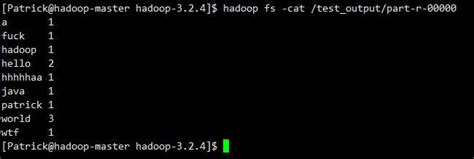 hadoop3手动搭建保姆级教程 沉默的羊