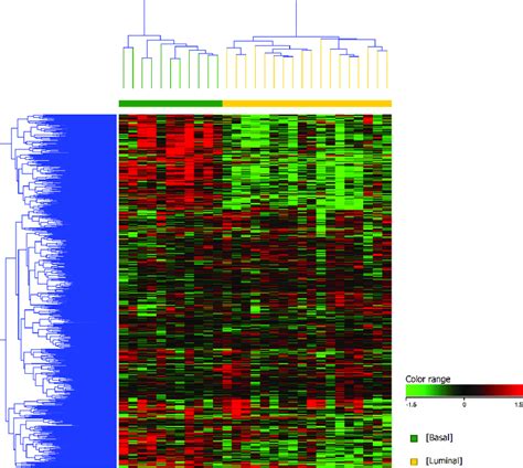 Unsupervised Hierarchical Clustering Of Genes Identifying Basal And