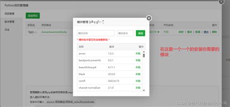 通过宝塔辅助部署本地python爬虫项目到阿里云轻量服务器宝塔部署python项目 Csdn博客