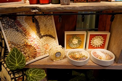 Sea Shell Art Urban Garden