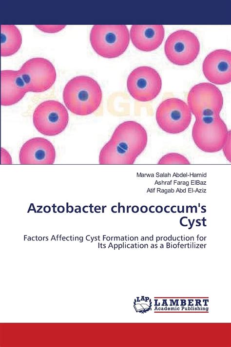 Azotobacter Chroococcums Cyst Factors Affecting Cyst Formation And Production For Its