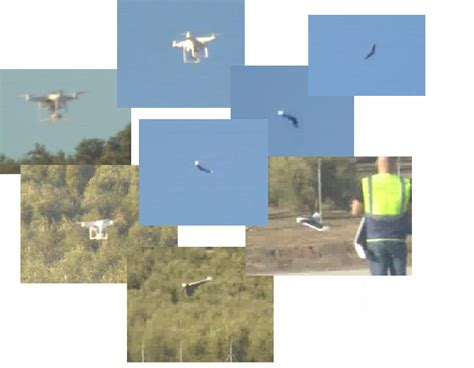 figure 1 from deep learning on multi sensor data for counter uav
