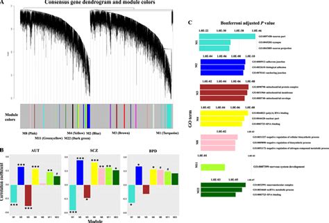 a the clustering tree dendrogram of genes and the identified