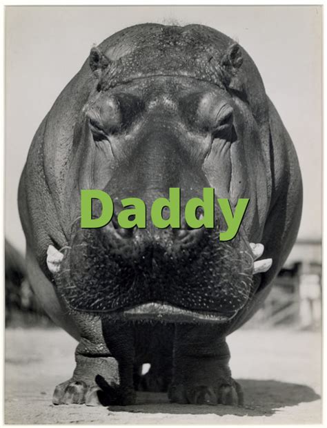 Daddy Meaning
