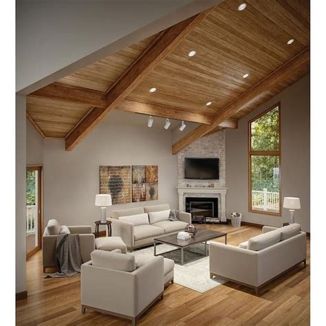 Cozy Living Room With Vaulted Ceiling