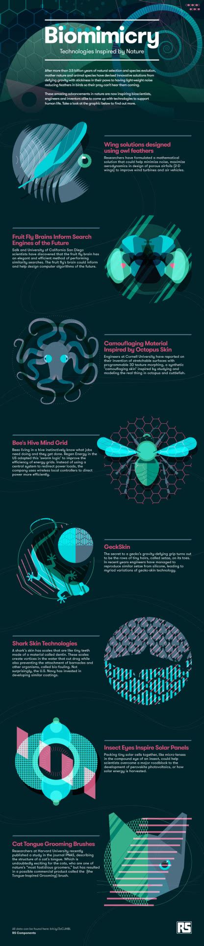 Infographic Journal • Biomimicry Technology Inspired By Nature Having