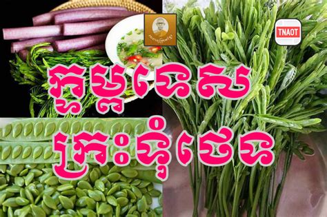 ក្រះទុំថេទ ឬ ក្ទម្ពទេស Tnaot