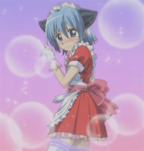 Ayasaki Hayate Hayate No Gotoku Danbooru