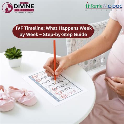 Ivf Timeline What Happens Week By Week Step By Step Guide