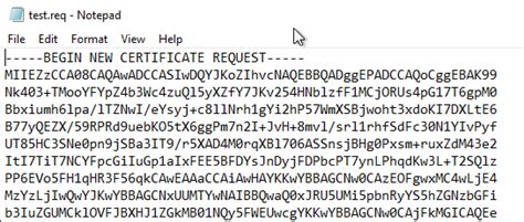 Inspecting A Certificate Request CSR Uwe Gradenegger