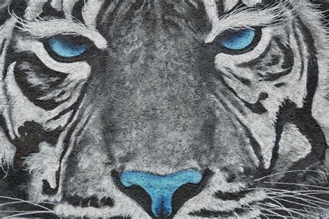 무료 사진 예술 창의력 낙서 일러스트 레이 션 벽화 음악 스케치 영상 만화 색