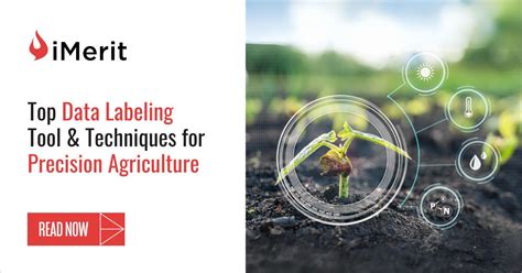 Top Data Labeling Tools And Techniques For Precision Agriculture Imerit