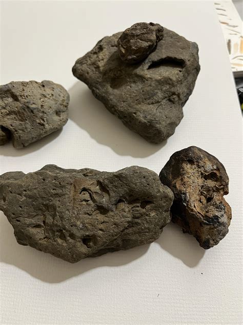 Pennsylvania Fossil Lovers Unite Anyone In Eastern PA Wanna Do A Group Hunting This Spring