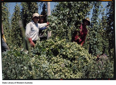 Historical Hops Gallery Hopshed