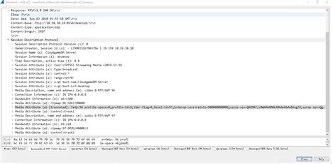 H264h265码流类型h265码流对应表 Csdn博客