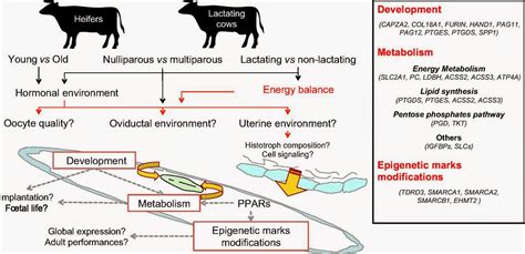 Innspub Blog Site Research Journal Publisher