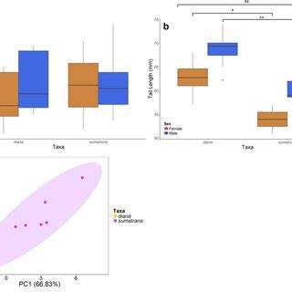 Sex Specific Box Plots Of Morphometric Measurements Of A Bill Length