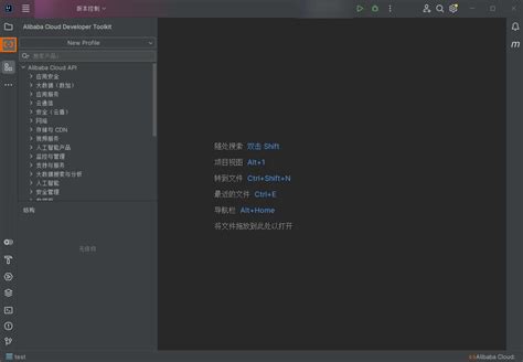 Alibaba Cloud Developer Toolkit JetBrains 插件 OpenAPI Explorer OpenAPI 阿里云帮助中心
