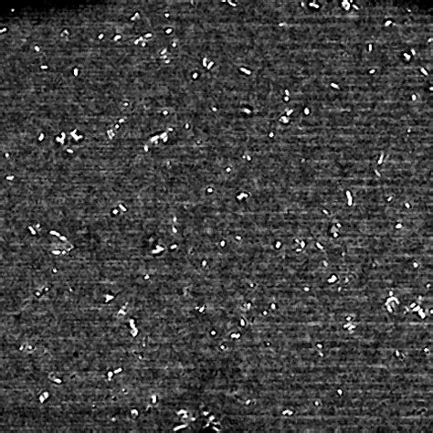 Computer Vision Blob Detection On Noisy Low Resolution Image With
