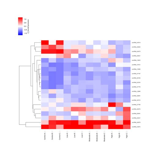 Circular Rnas Expression Profile In Chinese Rheumatoid Arthritis Patients At Different Disease