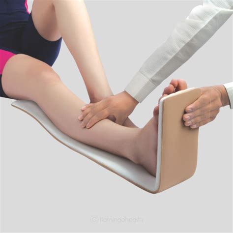 Long Leg Splint Flamingo Health
