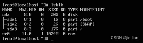 【linux】主分区，扩展分区，逻辑分区，动态分区，引导分区，标准分区linux分区 Csdn博客