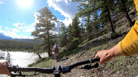 숲이 우거진 길을 따라 산악 E자전거 커플 놀이기구 2명에 대한 스톡 사진 및 기타 이미지 2명 55 59세 60 64세 Istock