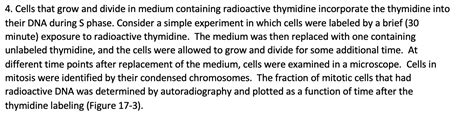Solved 4 Cells That Grow And Divide In Medium Containing