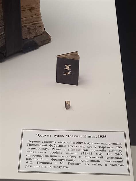 Посещение Национального художественного музея Республики Беларусь — Teletype