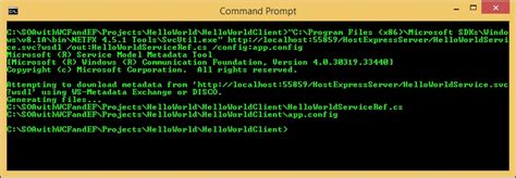 creating a client to consume the wcf service wcf multi layer services development with entity