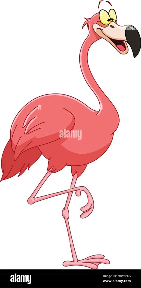 Flamingo Pink Bird Cartoon Stock Vector Images Alamy