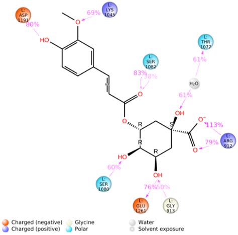 Exploring The Antioxidant Properties Of Caffeoylquinic And