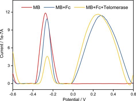 Square Wave Voltammograms Of Hairpin Dna Modified Electrode Red Download Scientific Diagram