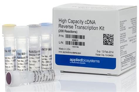 Iscript Cdna Synthesis Kit Protocol At Lisa Delarosa Blog